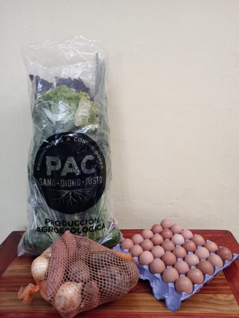 bolson verduras bolson pesada agroecologicos maple huevos